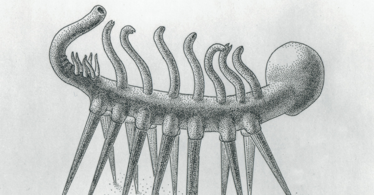 CABINET / Thing / No. 2