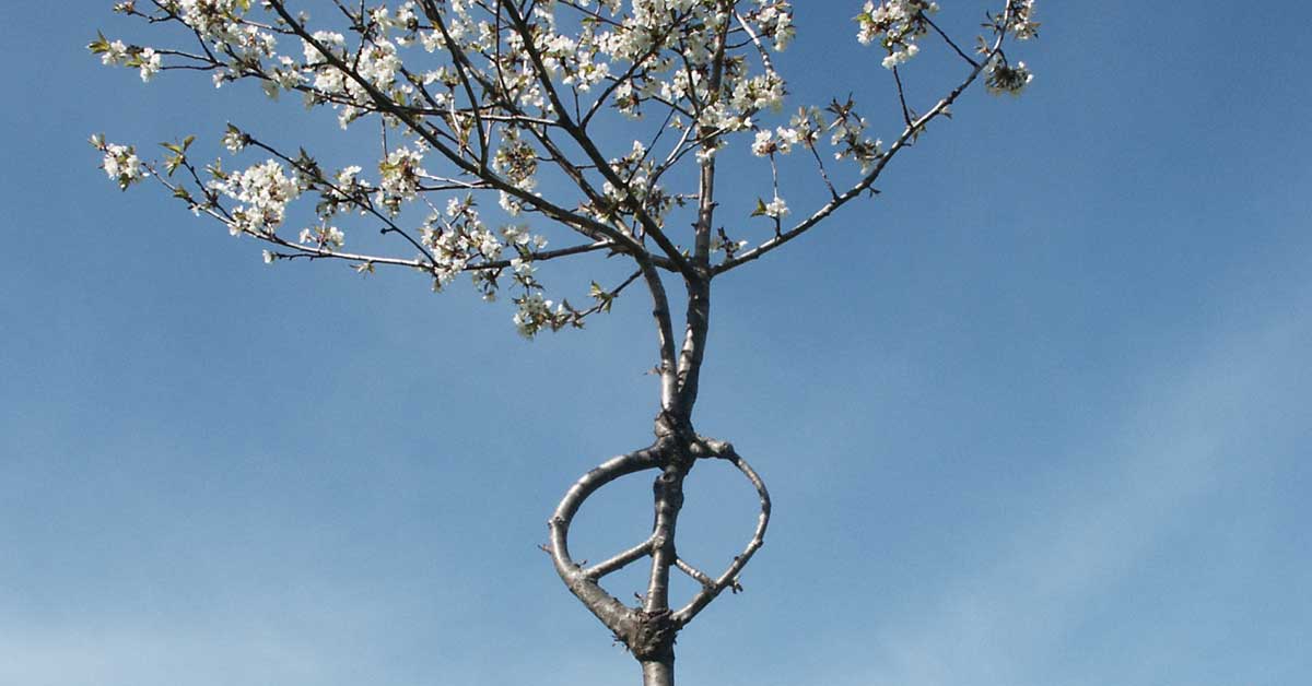 CABINET / How to Grow a Chair: An Interview with Richard Reames