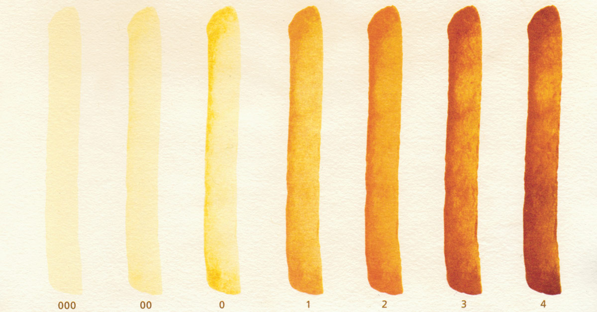 CABINET / Ingestion / The Chromatic Palate