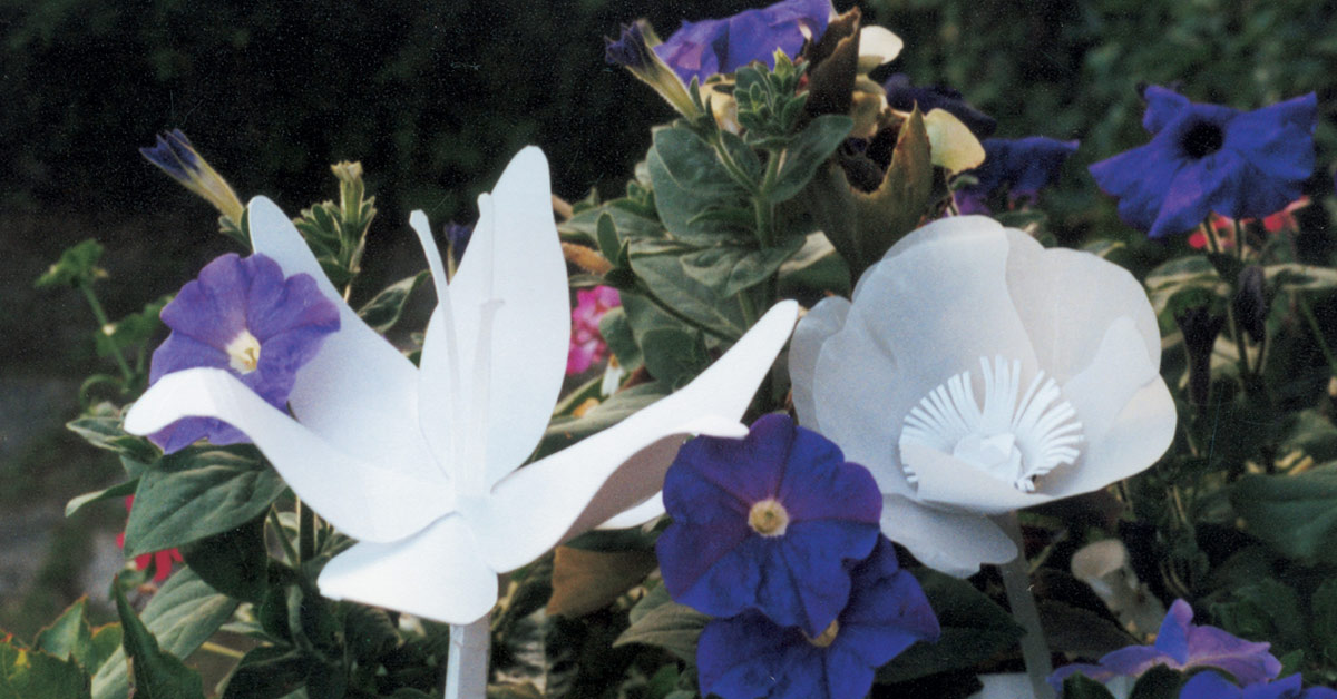 CABINET / Show Me the Monet