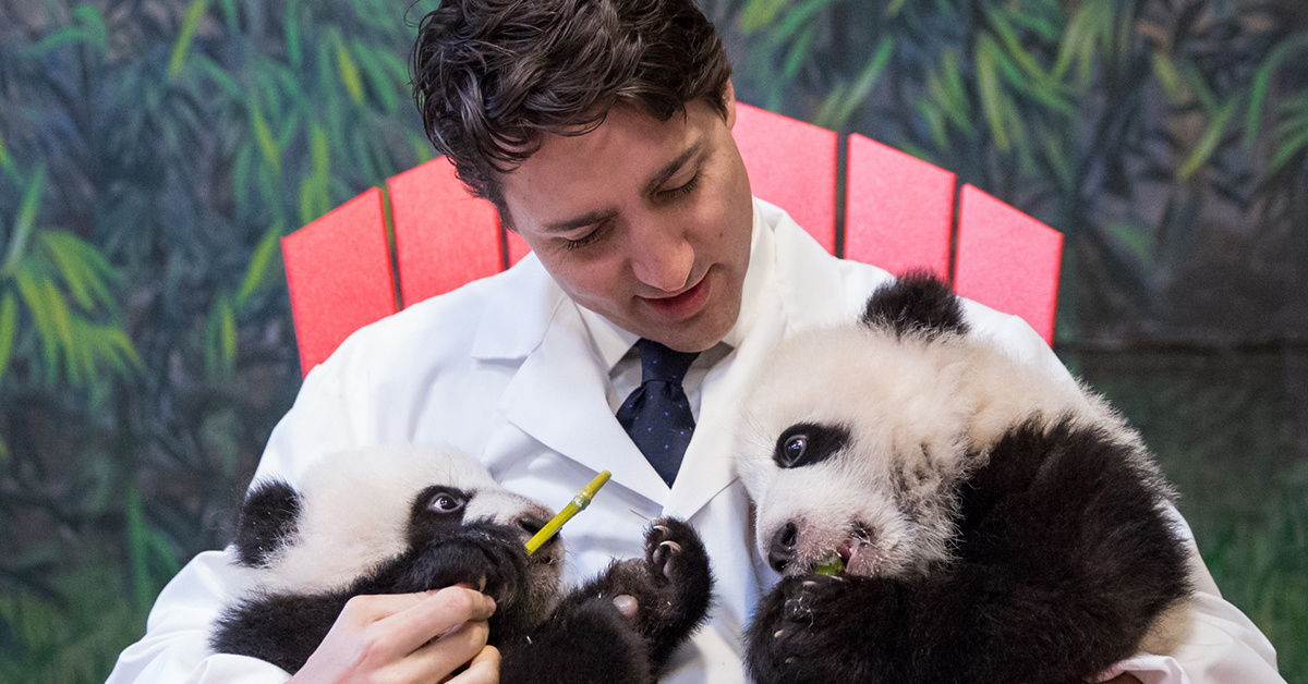 CABINET / The Softest of Powers